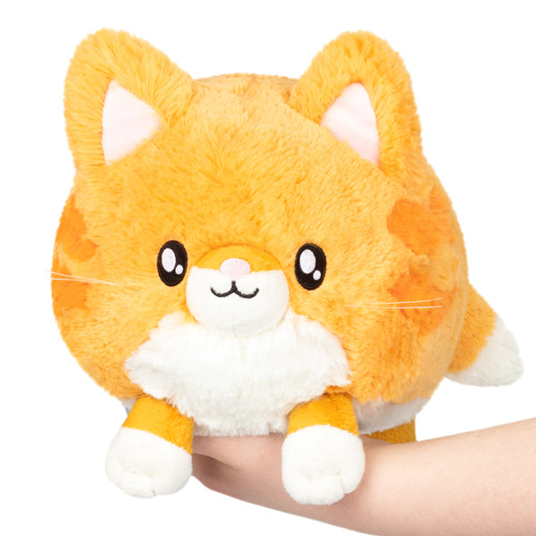 Mini Kitty – kiddywampus